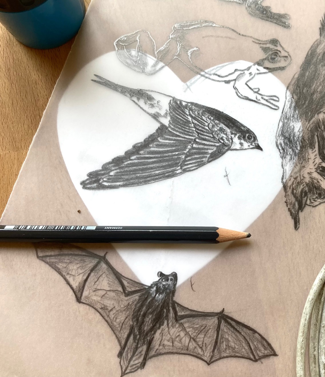 Andrea Rausch – Illustration, Grafik und Design